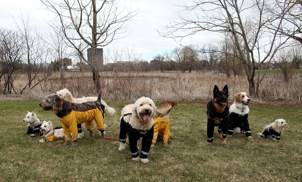 Muddy Mutts กางเกงเพื่อนรักสี่ขา