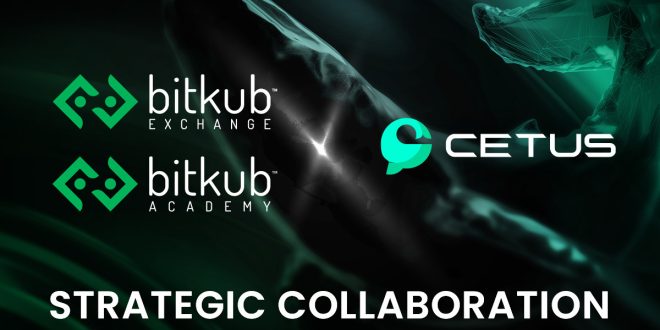 Bitkub Exchange และ Bitkub Academy ประกาศจับมือ Cetus โปรเจกต์ DEX ใหญ่สุดบน Sui